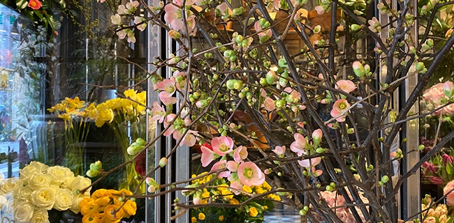 Flower Shop - Eli Zabar EliZabar.com