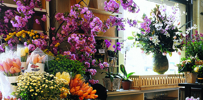 Flower Shop | Eli Zabar