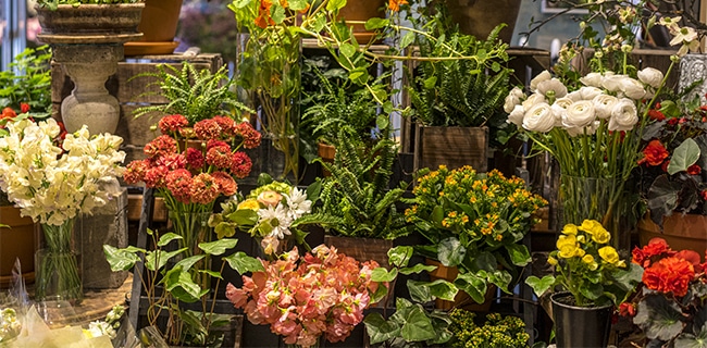Flower Shop - Eli Zabar EliZabar.com